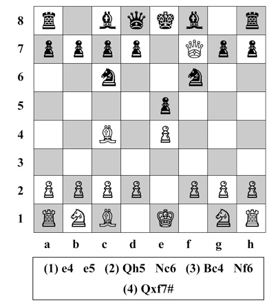 The Chess Exchange NYC's Only Chess Store North of Greenwich Village